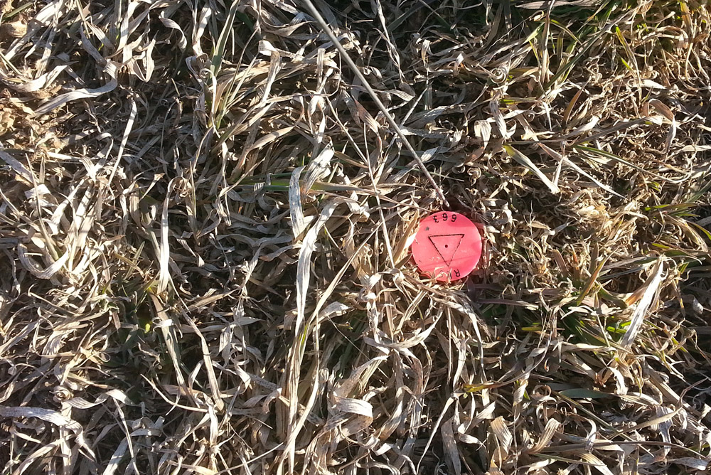 What to Know Prior to a Fence Repair Project